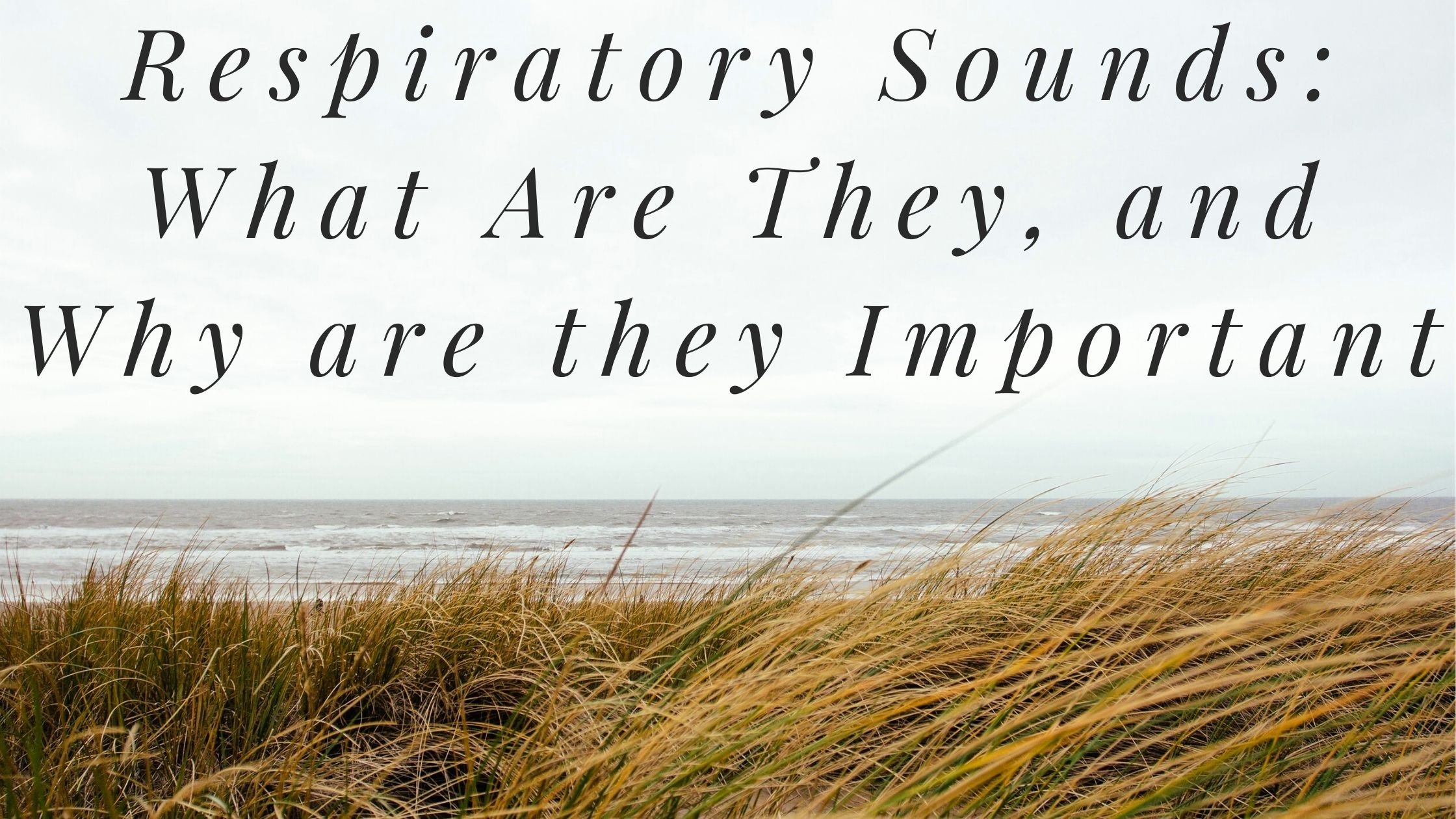 Respiratory Sounds: What Are They and Why is it Important