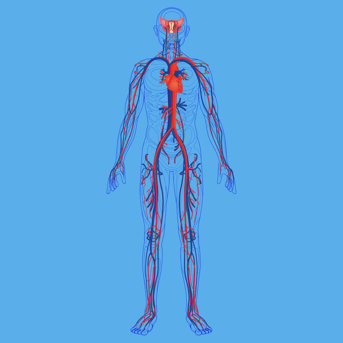 What Are Bronchospasms in COPD and How Are They Treated?